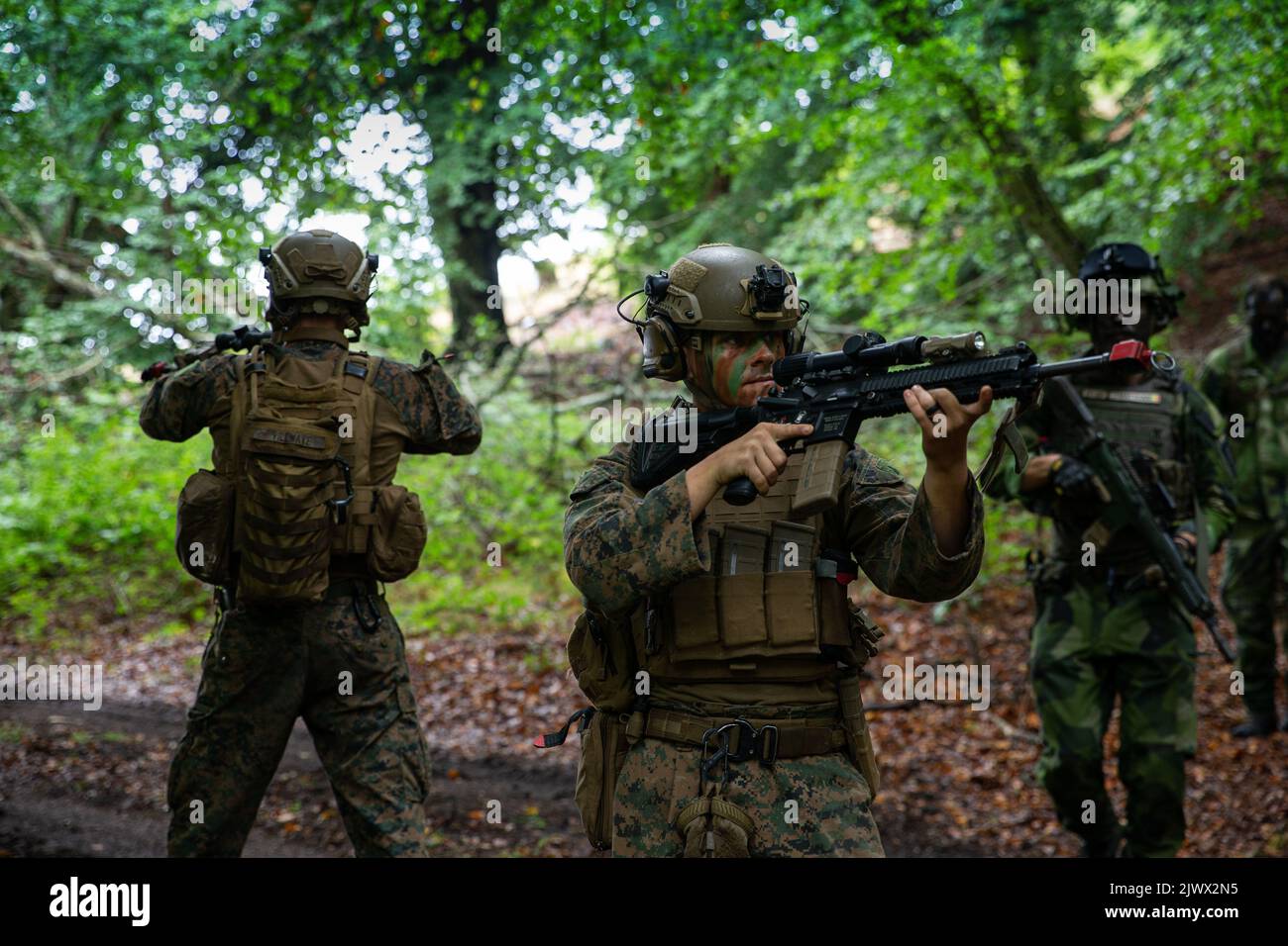 Task force echo hi-res stock photography and images - Alamy