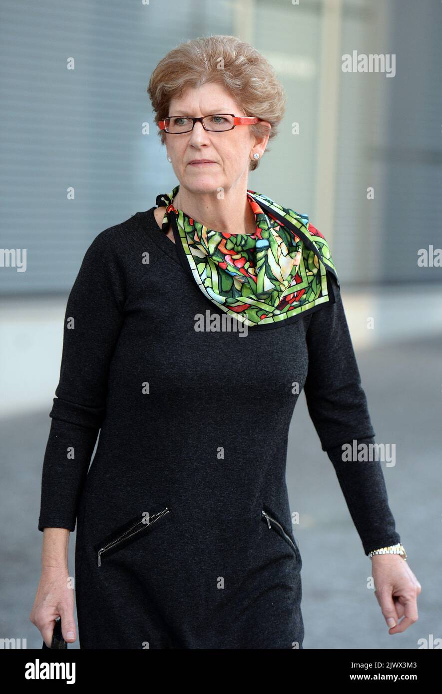 Neighbor of the Baden-Clay family, Susan Braun, leaves Ms Braun gave ...