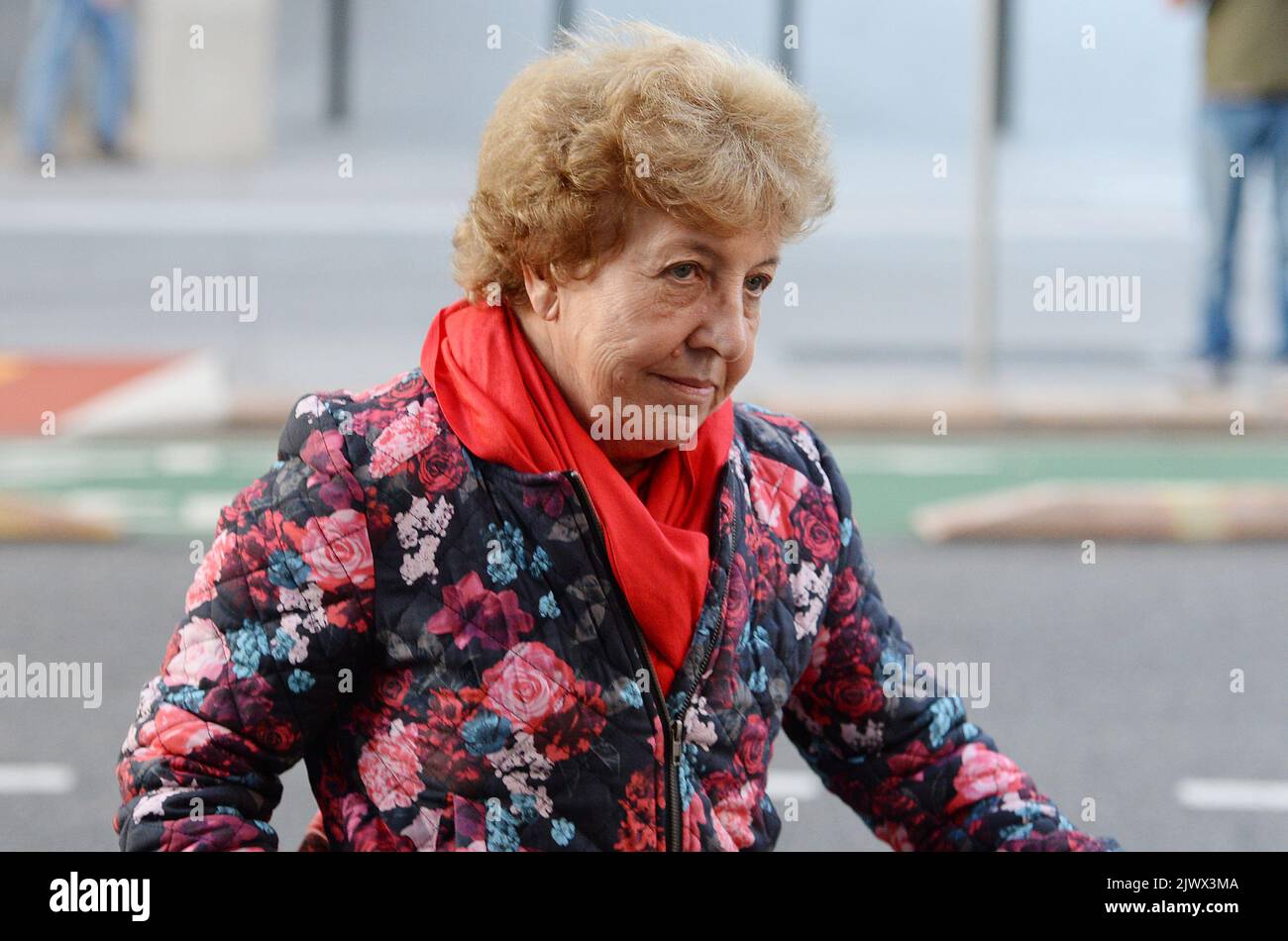 Neighbor of the Baden-Clay family, Anne Rhodes, leaves Ms Rhodes gave ...