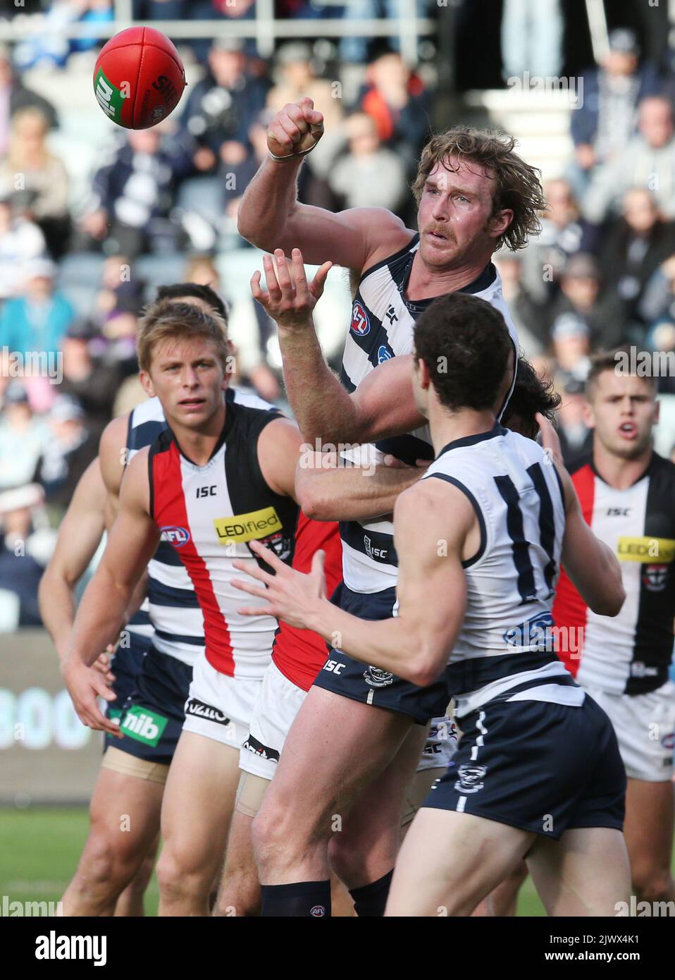 Dawson Simpson in action for Geelong during the Round 13 AFL match ...