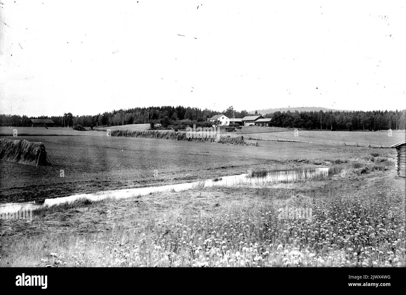 Vy, agricultural landscape, farm. Vy, jordbrukslandskap, gård Stock ...