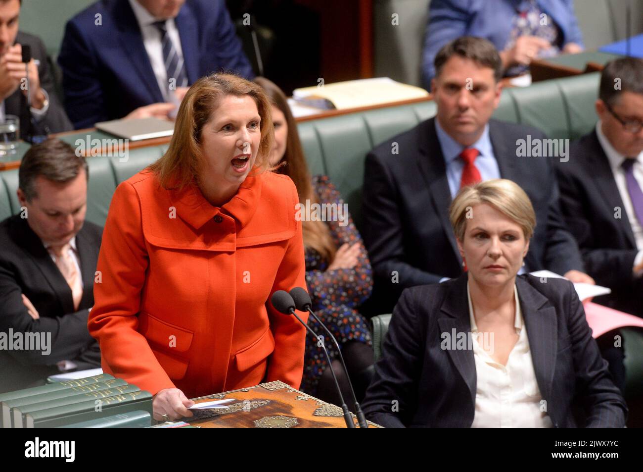 Shadow health minister Catherine King speaks during House of ...