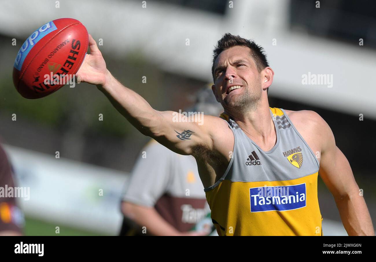 Hawthorn captain Luke Hodge trains at Waverly Park in Melbourne, Monday ...
