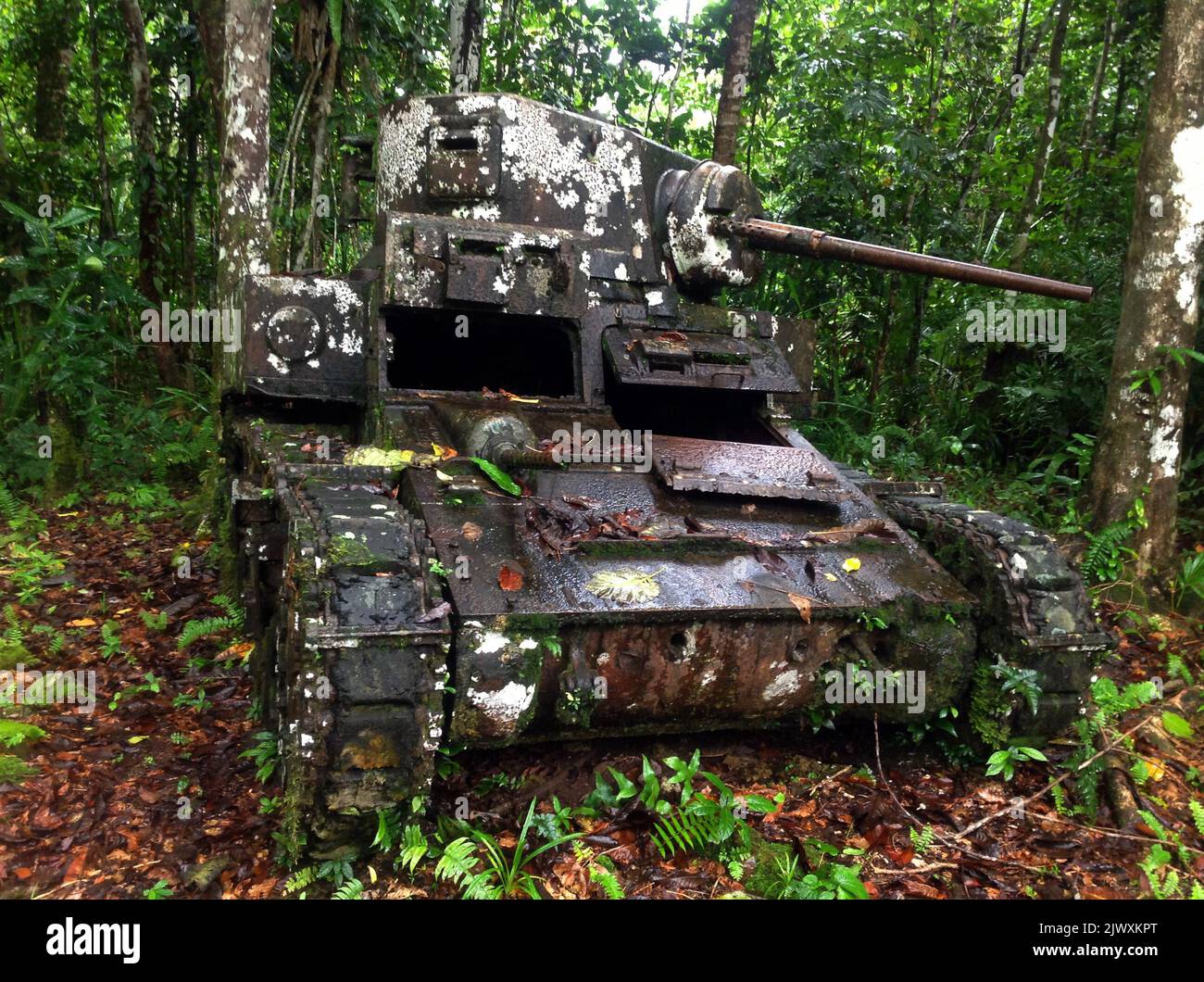 A World War II American Stuart tank lies in the same spot where it was ...