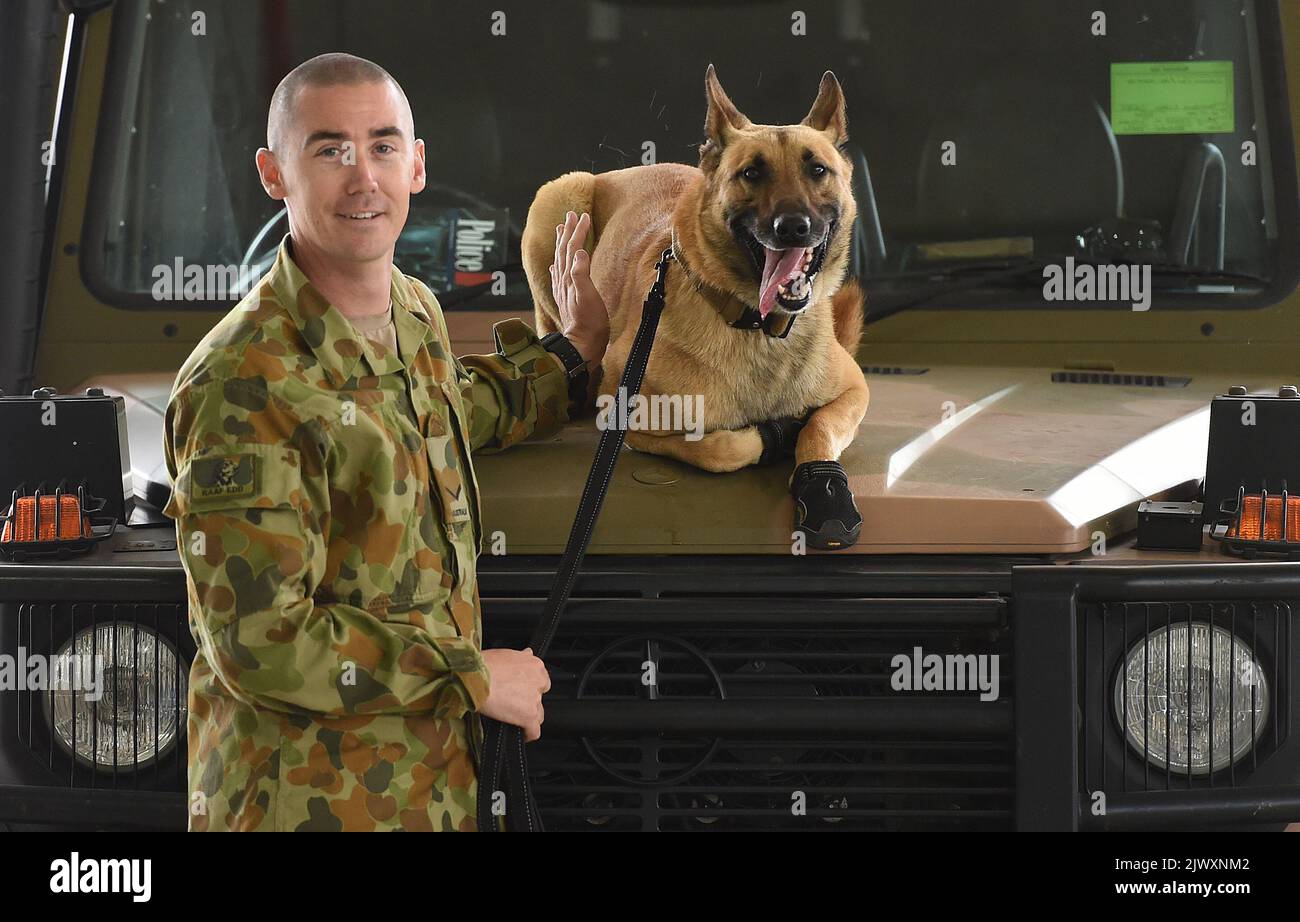 Leading Aircraftman Brett McCormack and his explosives detection dog ...