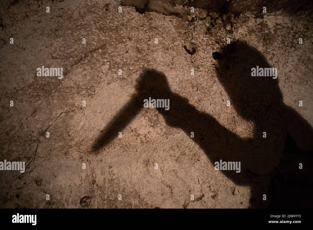 murderer with big knife and shadow horror scene Stock Photo - Alamy