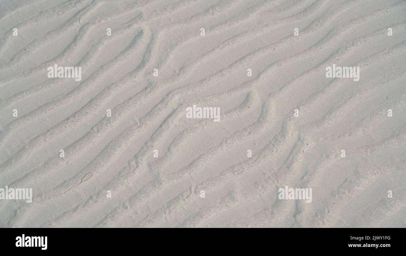 sand ripples in the sea sand during low tide Stock Photo - Alamy
