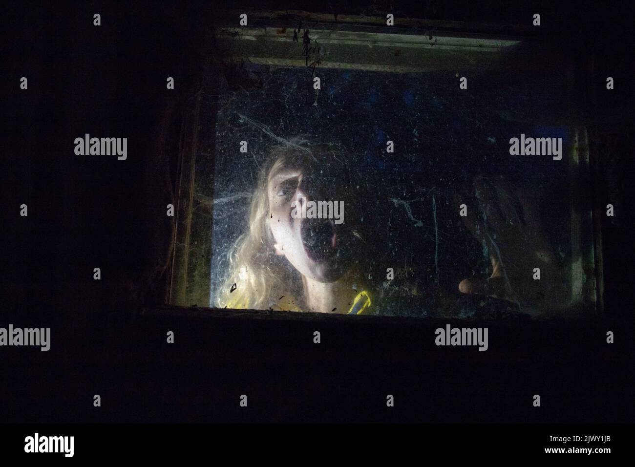 scary woman behind window at night Halloween horror background Stock ...