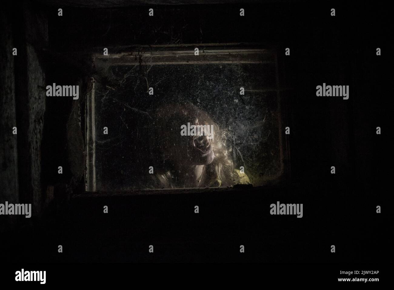 scary woman behind window at night Halloween horror background Stock ...