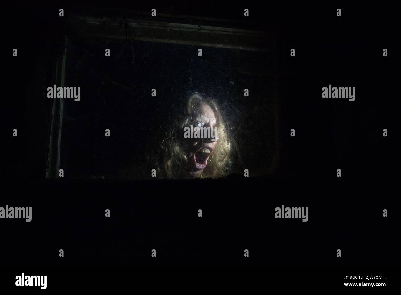 scary woman behind window at night Halloween horror background Stock ...
