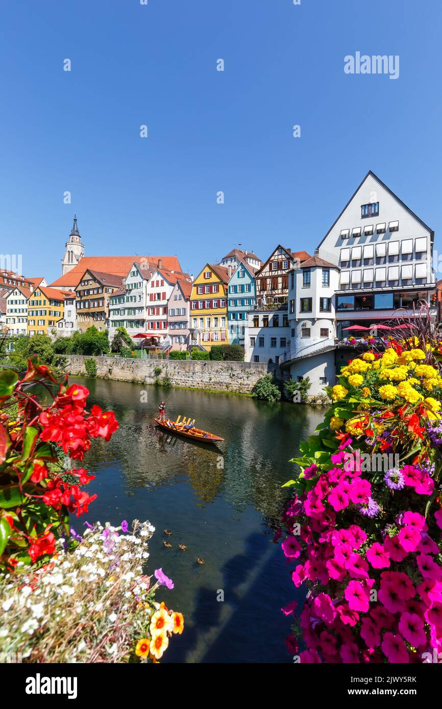 Tübingen Tuebingen town city at Neckar river with punt Stocherkahn ...