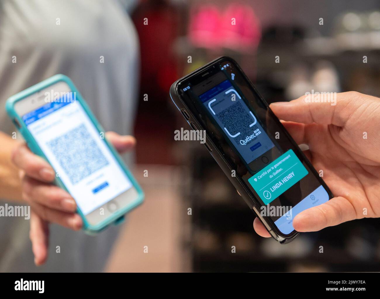 A QR code is scanned, in Montreal, Wednesday, September 1, 2021.THE ...