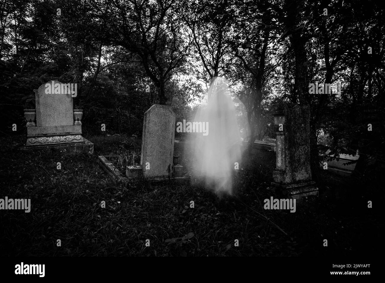 Scary pumpkin in night Black and White Stock Photos & Images - Alamy