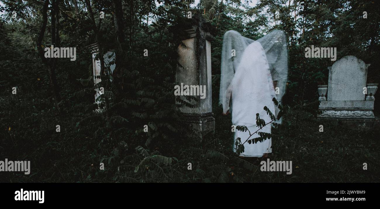 scary ghost in cemetery at night Halloween background Stock Photo - Alamy