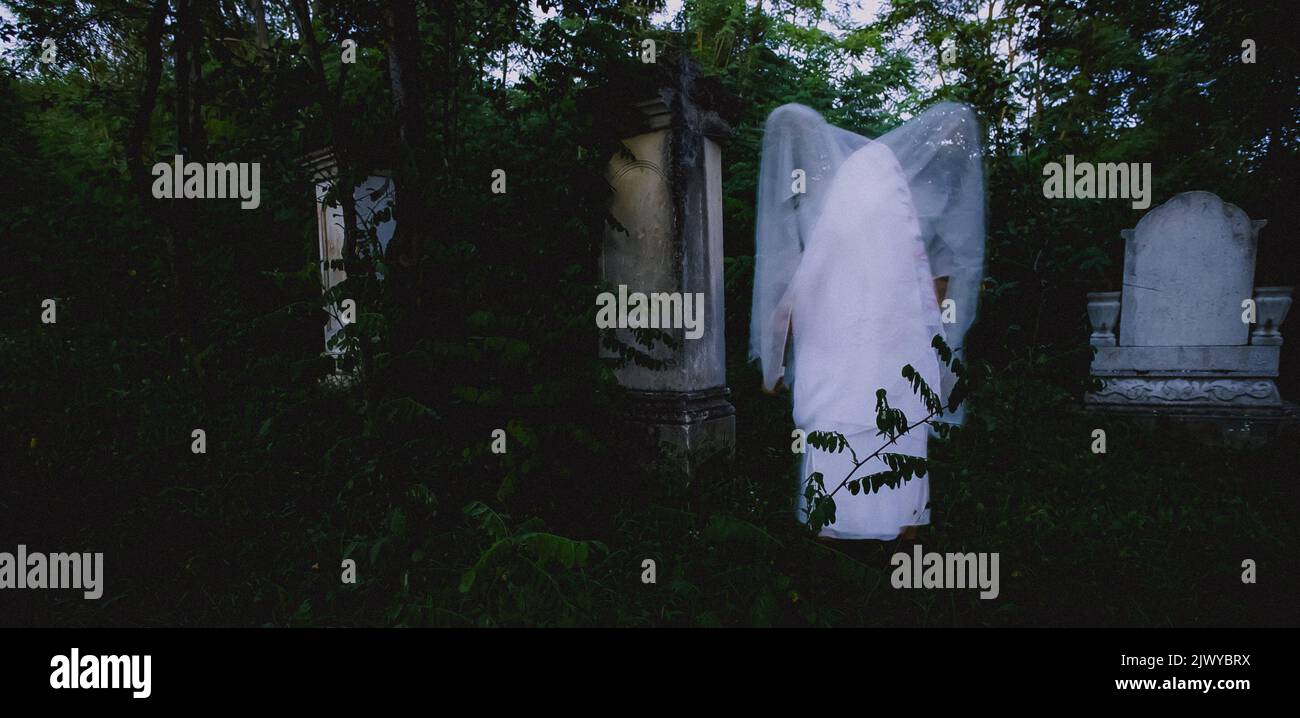 scary ghost in cemetery at night Halloween background Stock Photo - Alamy