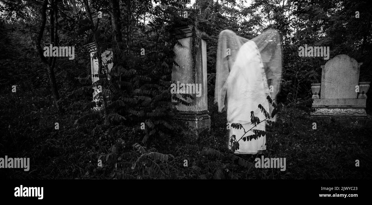 scary ghost in cemetery at night Halloween background Stock Photo - Alamy