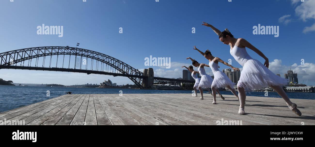 Jade Wood, Jess Fyfe, Eli Fryer and Sharni Spencer from the Australian ...