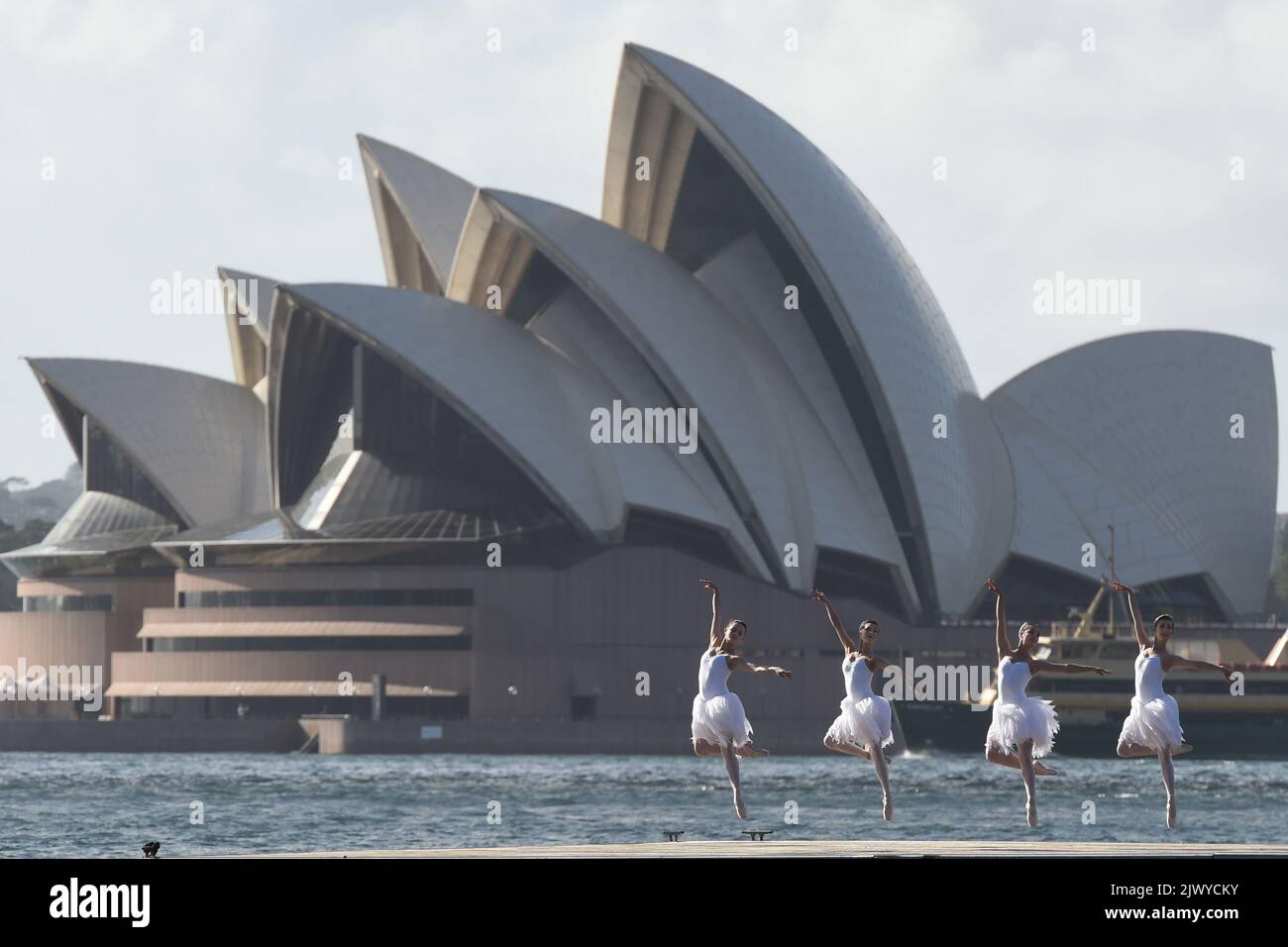 Jade Wood, Jess Fyfe, Eli Fryer and Sharni Spencer from the Australian ...