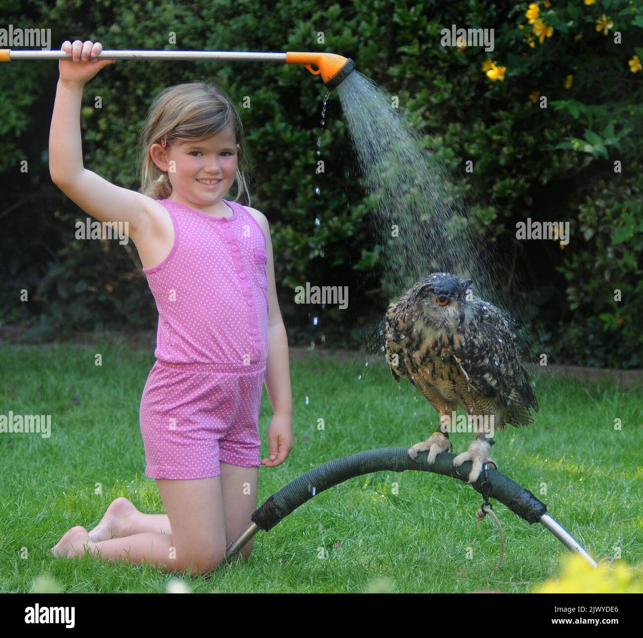 Regular temperatures hi-res stock photography and images - Alamy