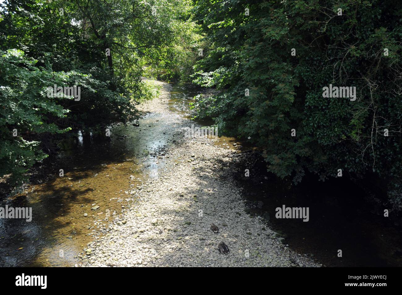 Reduced to a trickle hi-res stock photography and images - Alamy