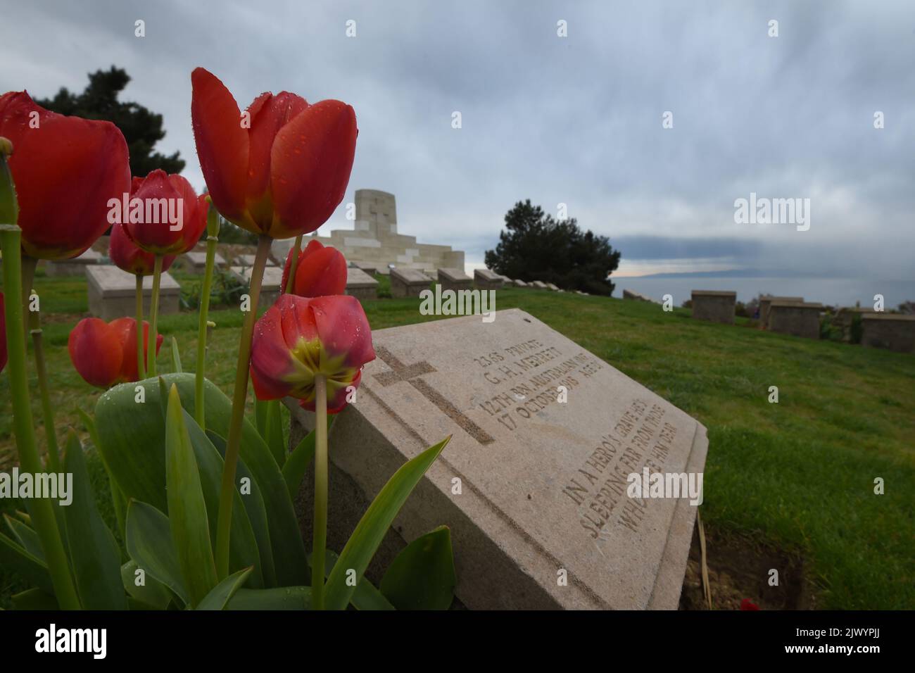 Headstones of the fallen at the Shell Green Cemetery below Lone Pine on ...