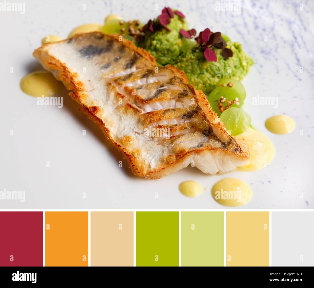 Color matching palette from close-up on grilled piece of fish with ...
