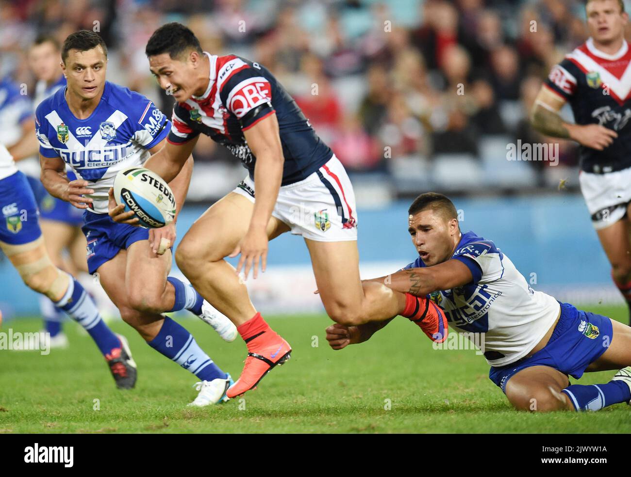 Roger Tuivasa-Sheck of the Roosters finds a break in the Roosters ...