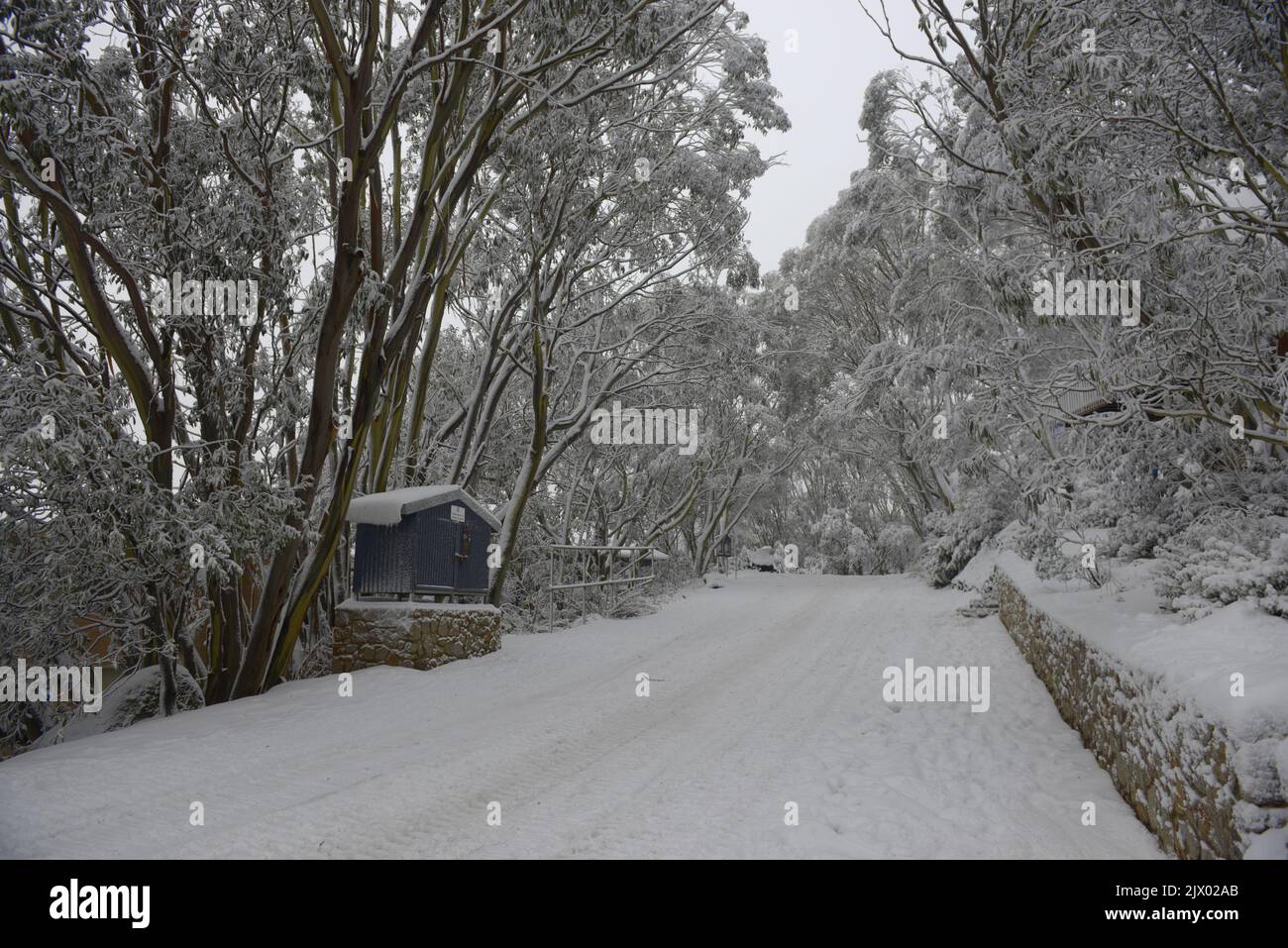 A snow covered road leading to Falls Creek resort, north of Melbourne ...