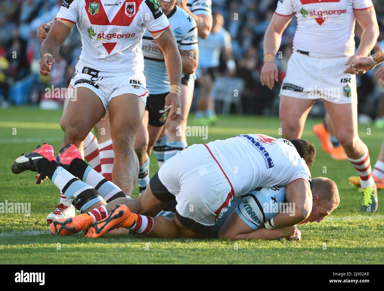 Sharks forward Luke Lewis scores a try during the Round 18 NRL match ...