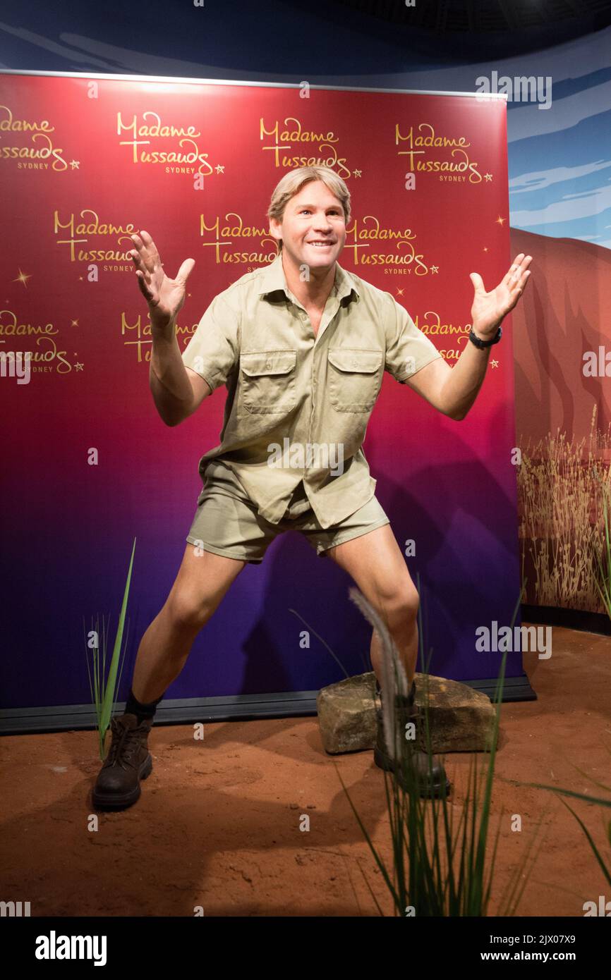 A wax figure of late Australian crocodile hunter Steve Irwin at Madame ...