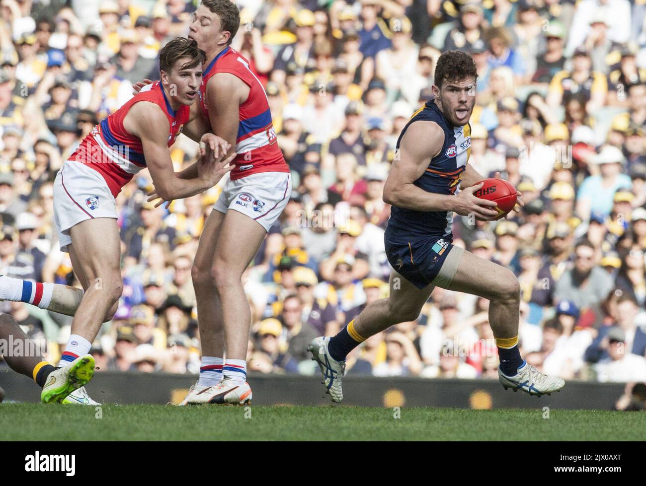 Luke Shuey of the West Coast Eagles during the round 21 AFL match ...