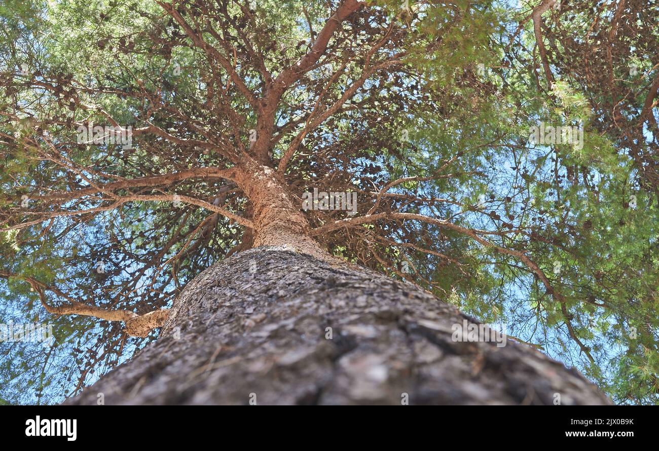 Perspective lower angle view hi-res stock photography and images - Alamy