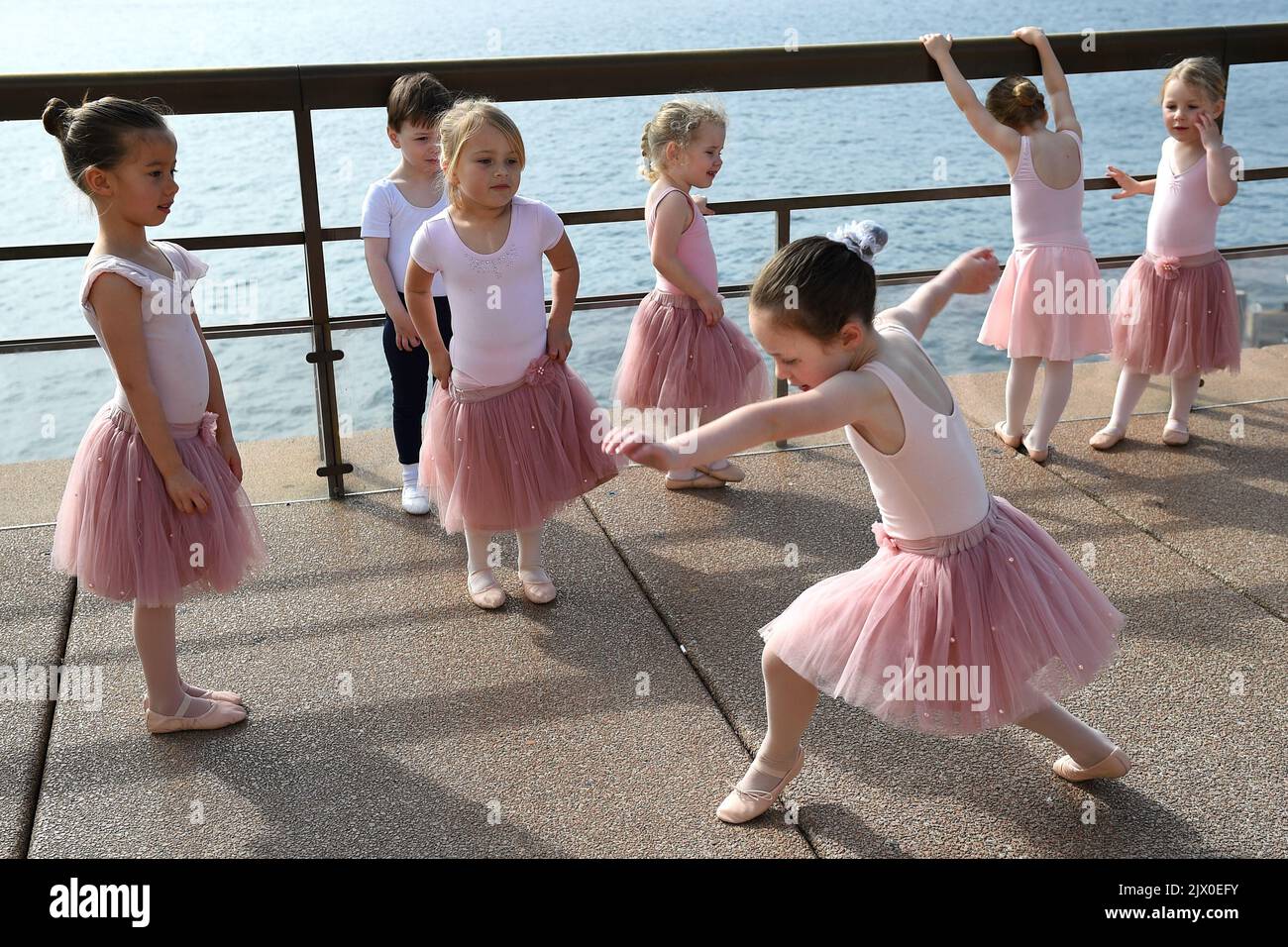Young ballerinas aged between three and six years old, pose for a ...