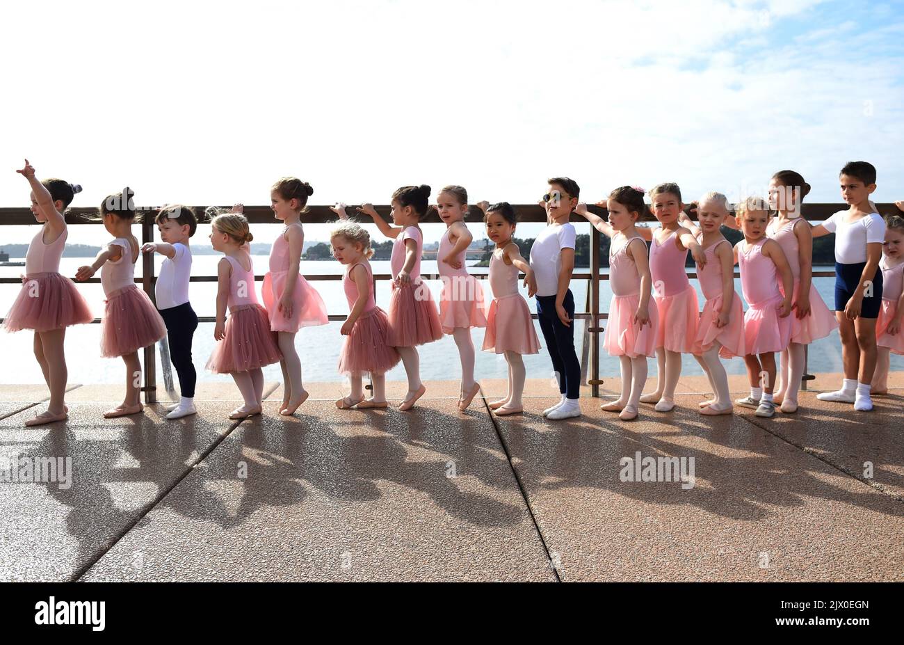 Young ballerinas aged between three and six years old, pose for a ...