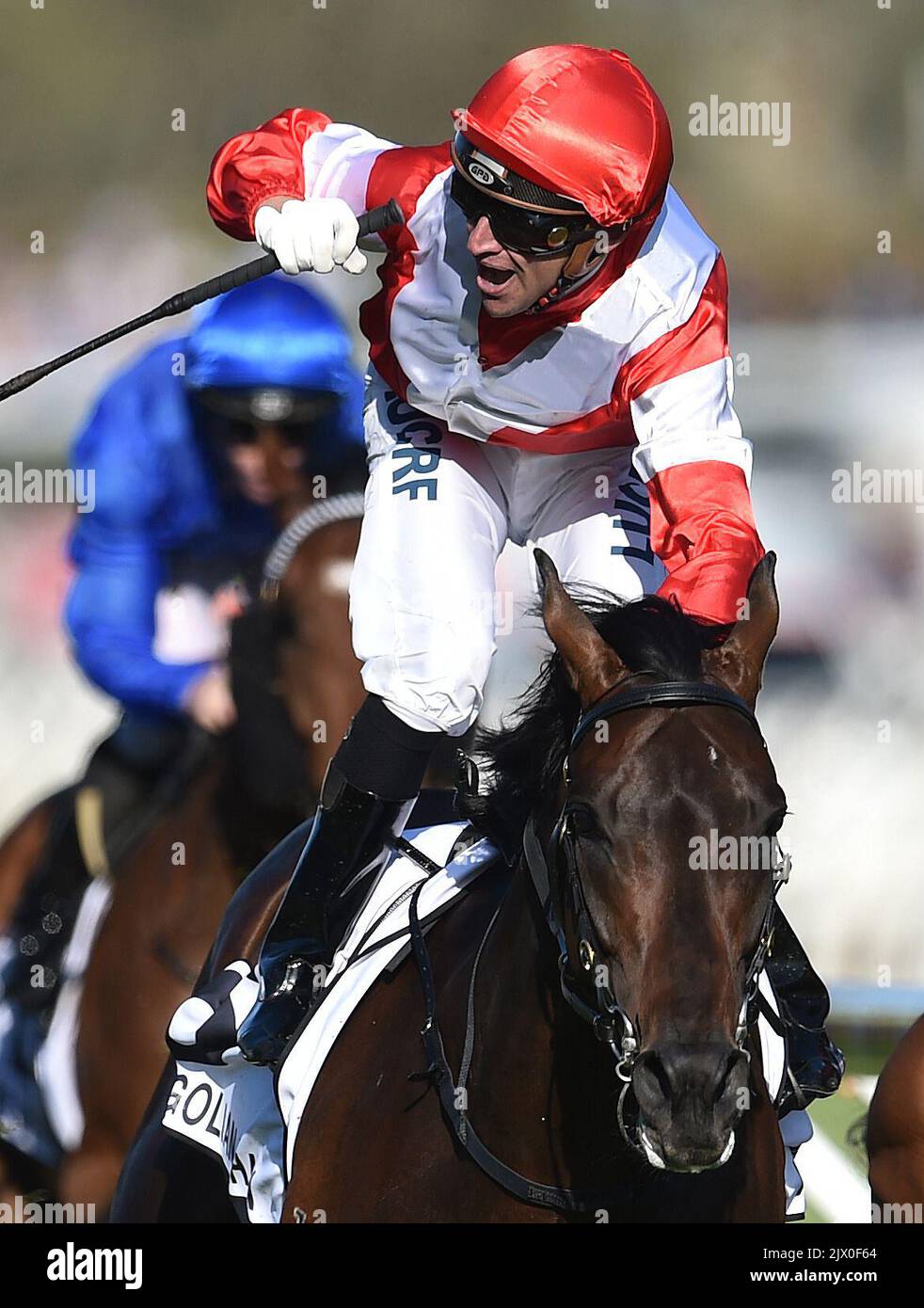 Opie Bosson reacts after wining the Caulfield Cup on Mongolian Khan ...