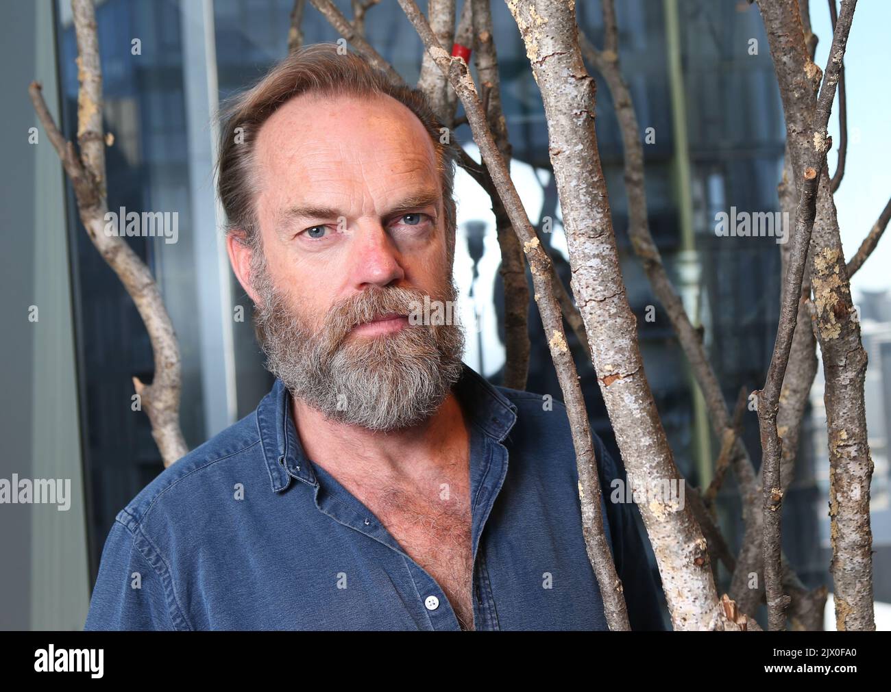 Actor Hugo Weaving from the movie 'The Dress Maker' poses for a ...