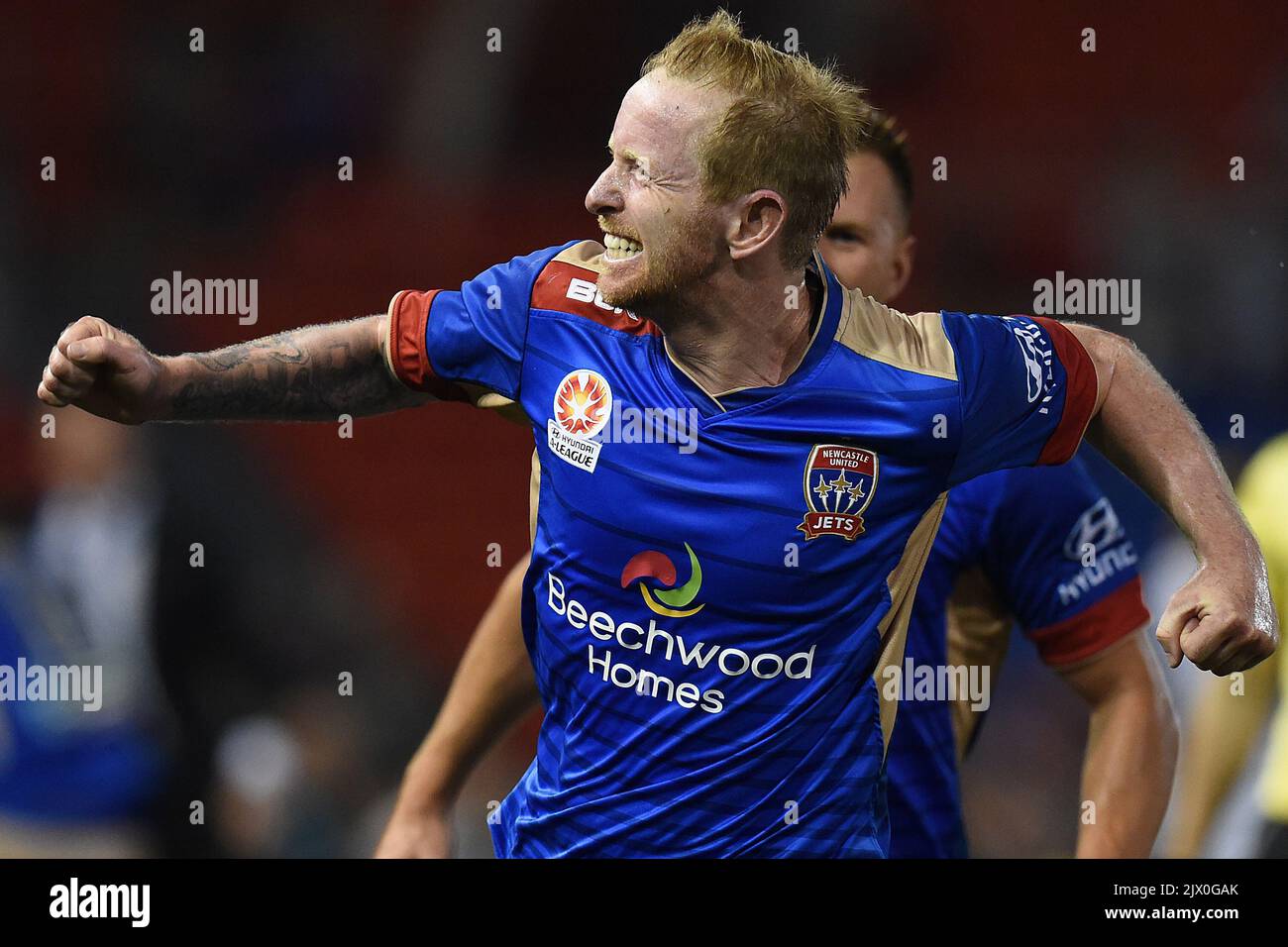 David Carney of the Jets celebrates after scoring a goal during the ...