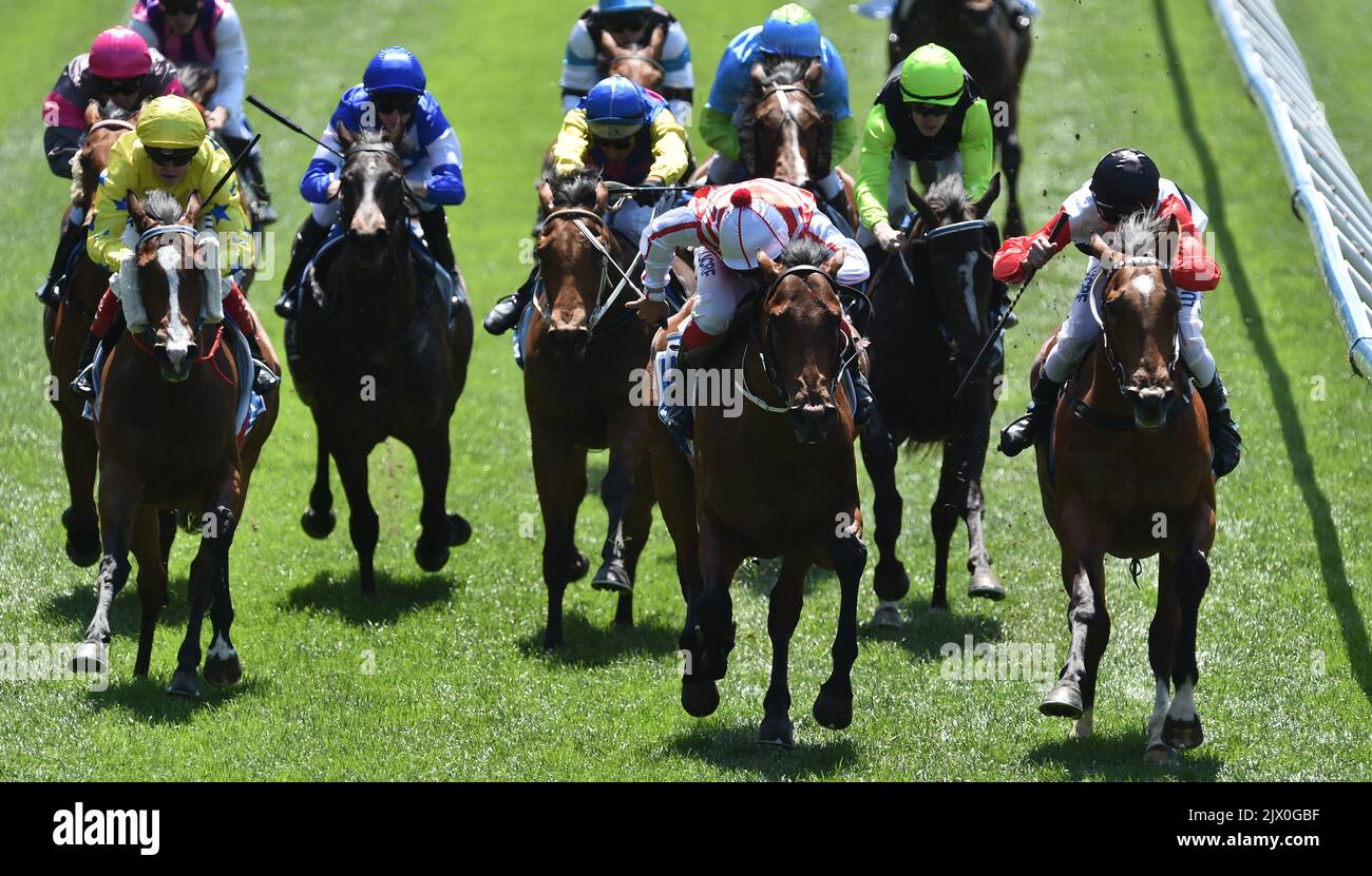 Dalradian (right) wins race one ahead of Valliano (centre, red and ...