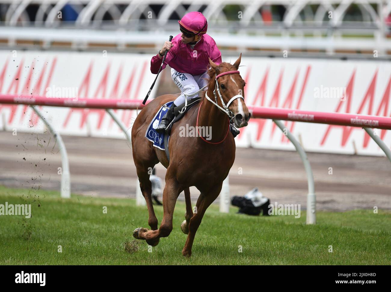 Glyn Schofield gallops to victory in the Coolmore Stud Stakes on ...