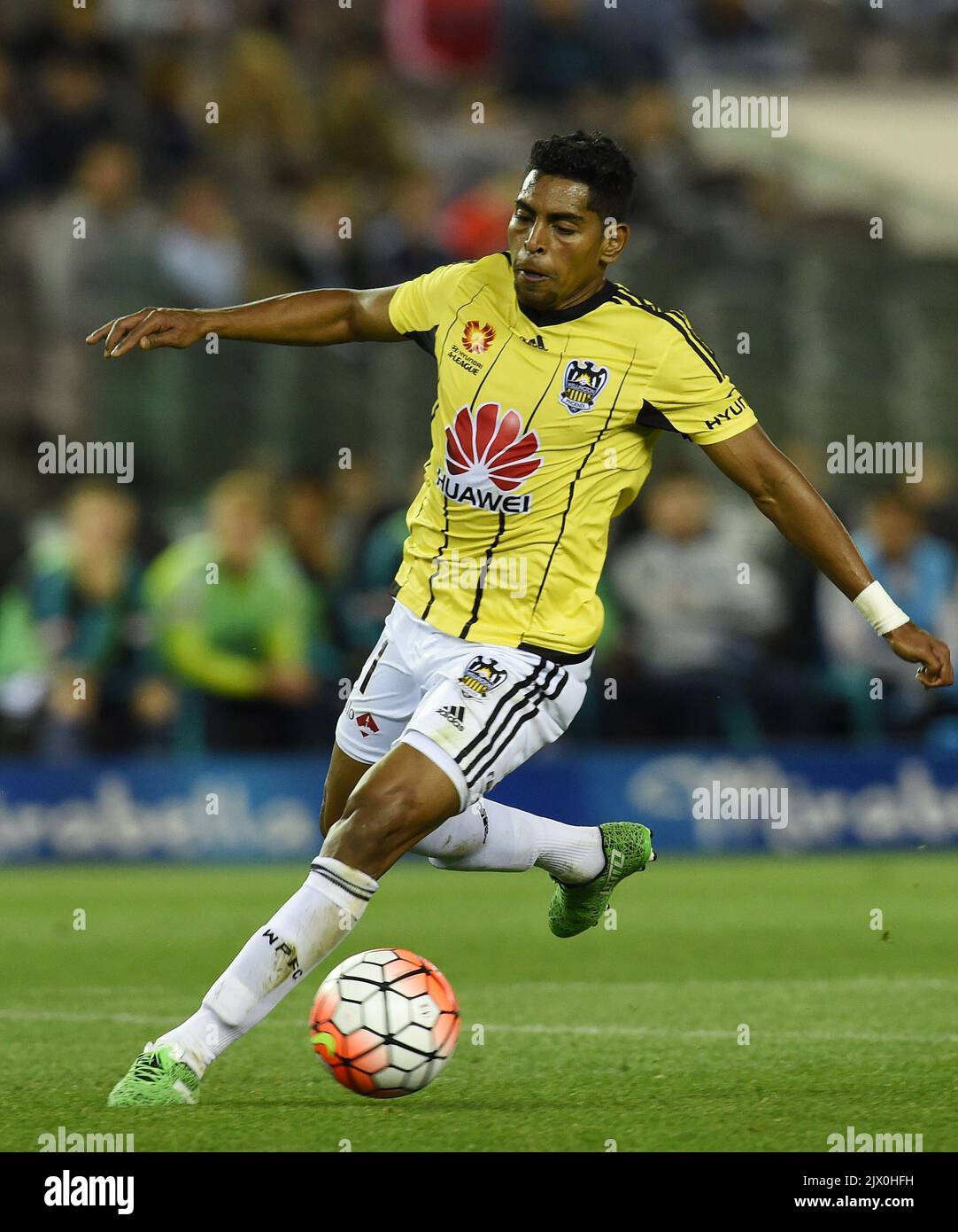 Roy Krishna of the Phoenix during the round 4 Aleague match between the ...
