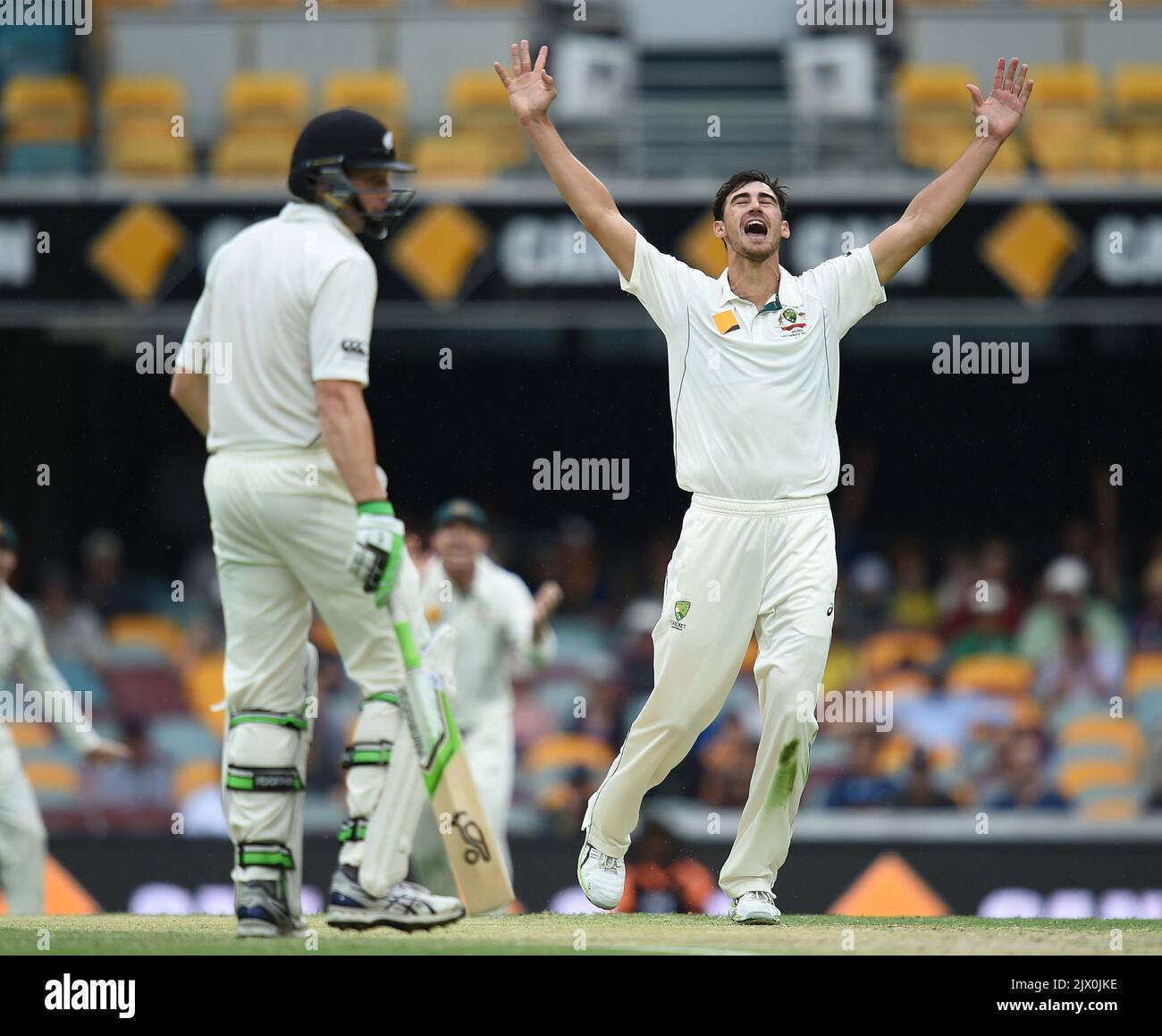 Australian bowler Mitchell Stark reacts after dismissing New Zealand ...