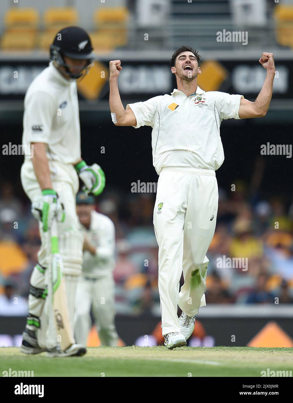 Australian bowler Mitchell Stark reacts after dismissing New Zealand ...