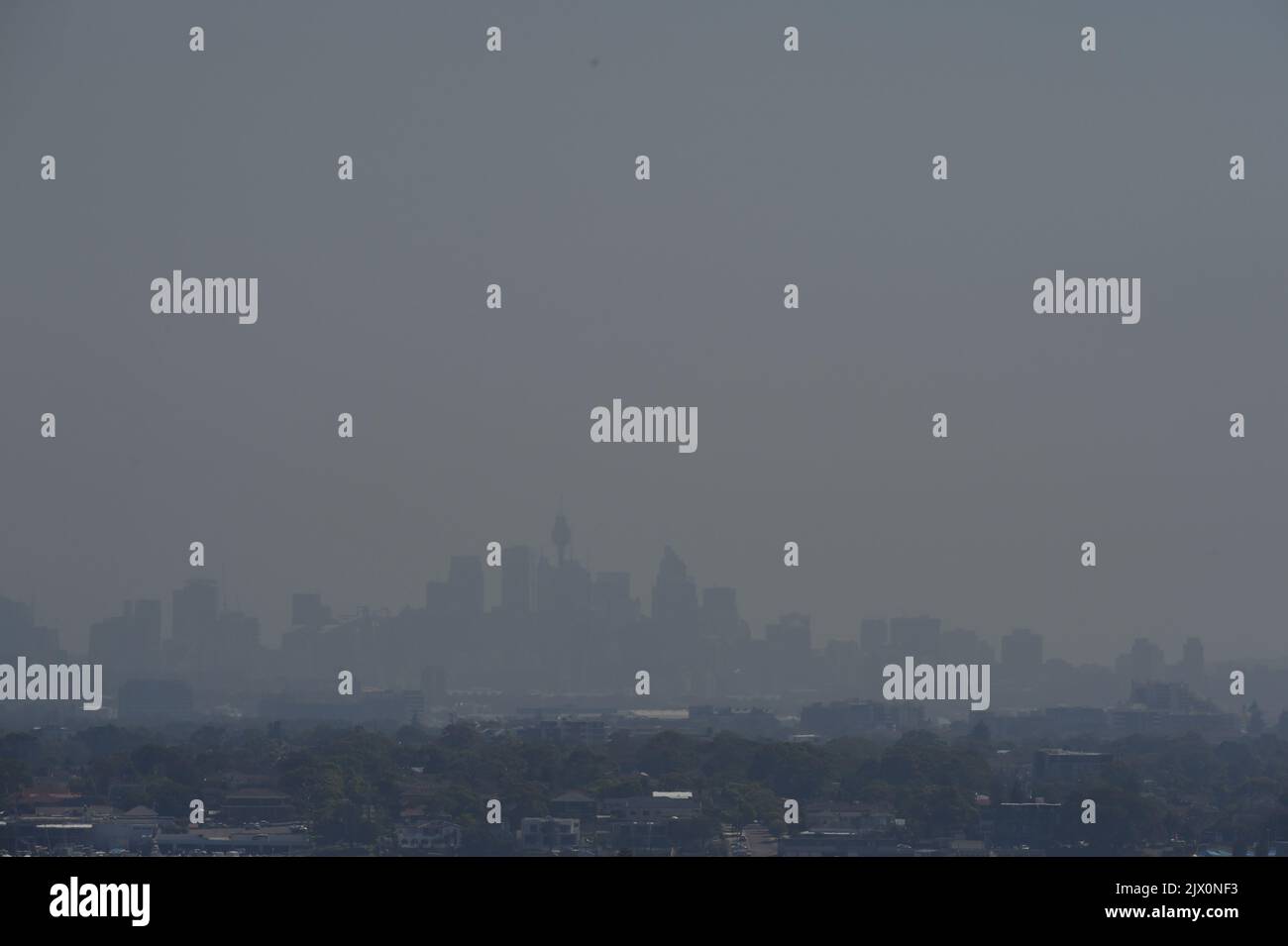 Sydney's CBD is barely visible through air pollution as Sydney heads ...
