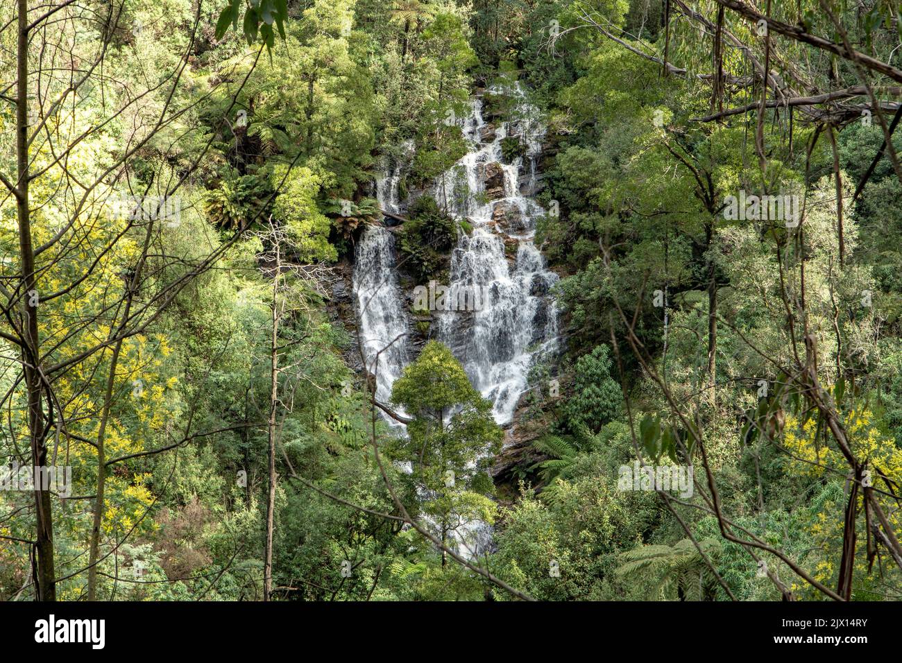 Kinglake victoria australia hi-res stock photography and images - Alamy