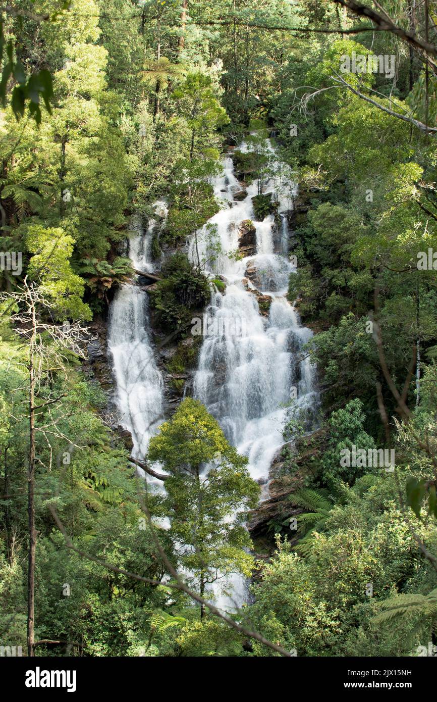 Kinglake national park hi-res stock photography and images - Alamy