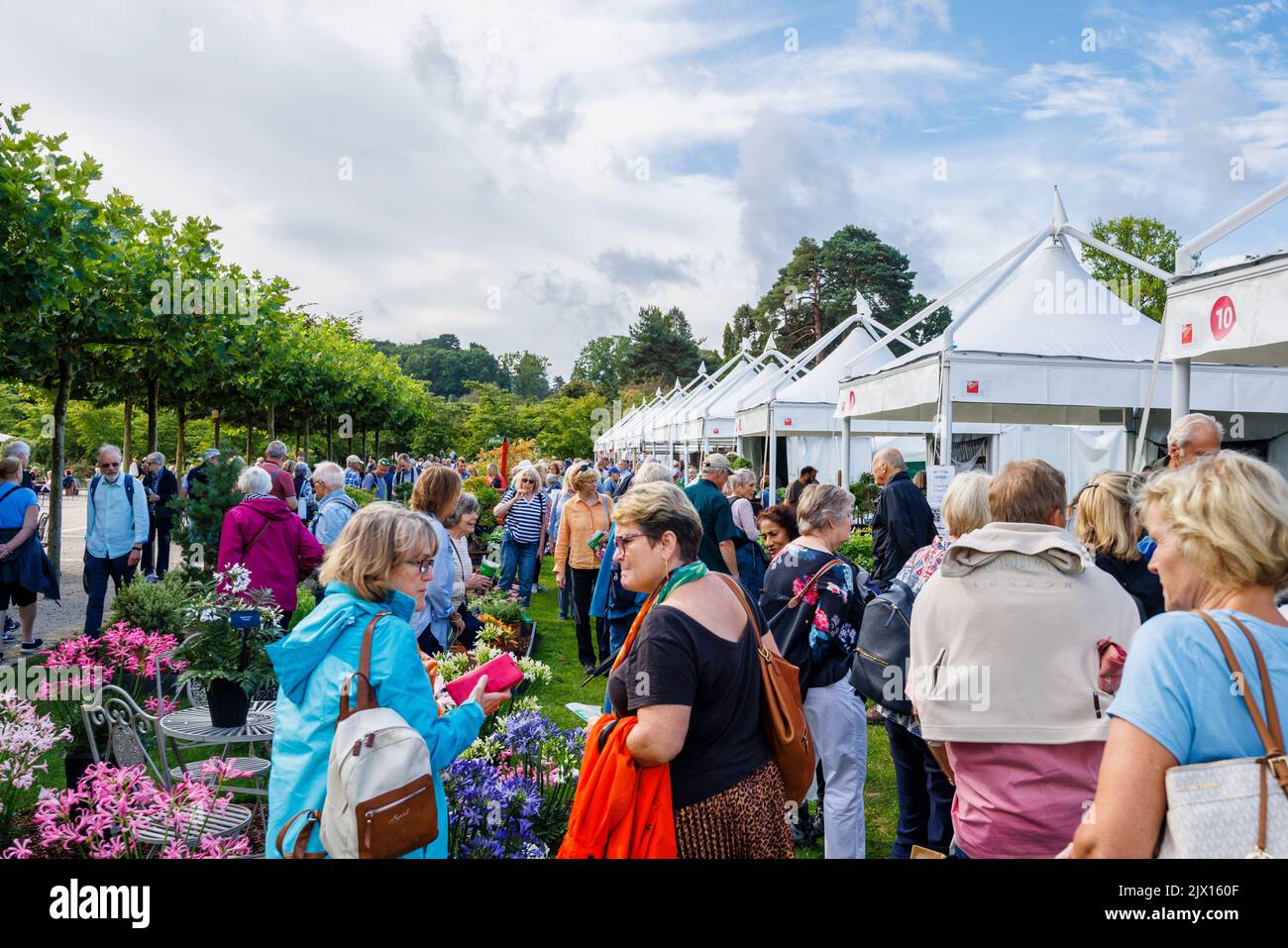 Visitors to the annual Wisley Taste of Autumn Festival in September at ...