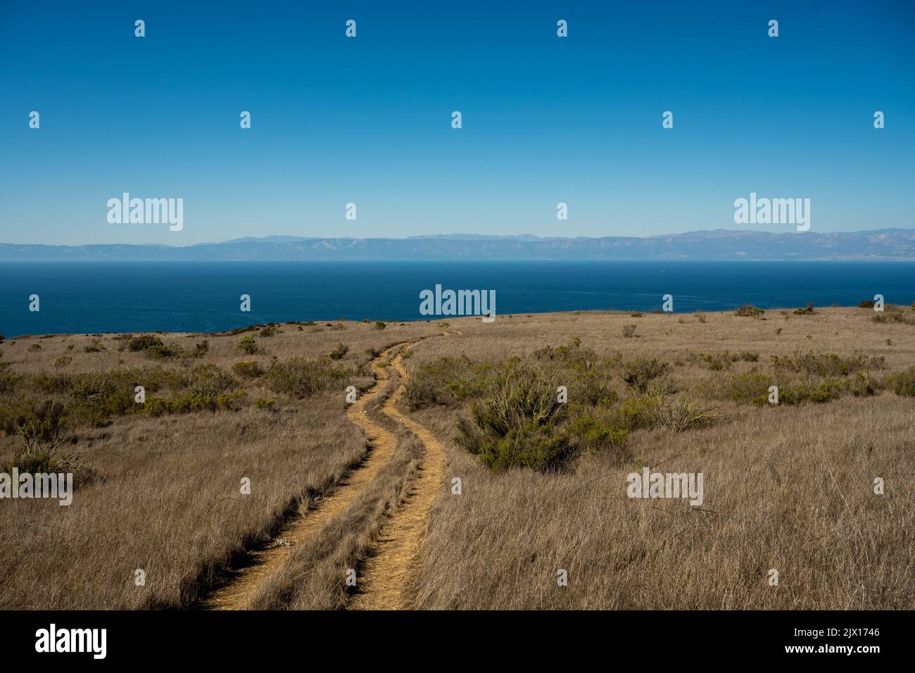 Two Track Trail Along The Cliffs of Santa Cruz Island in the Channel ...