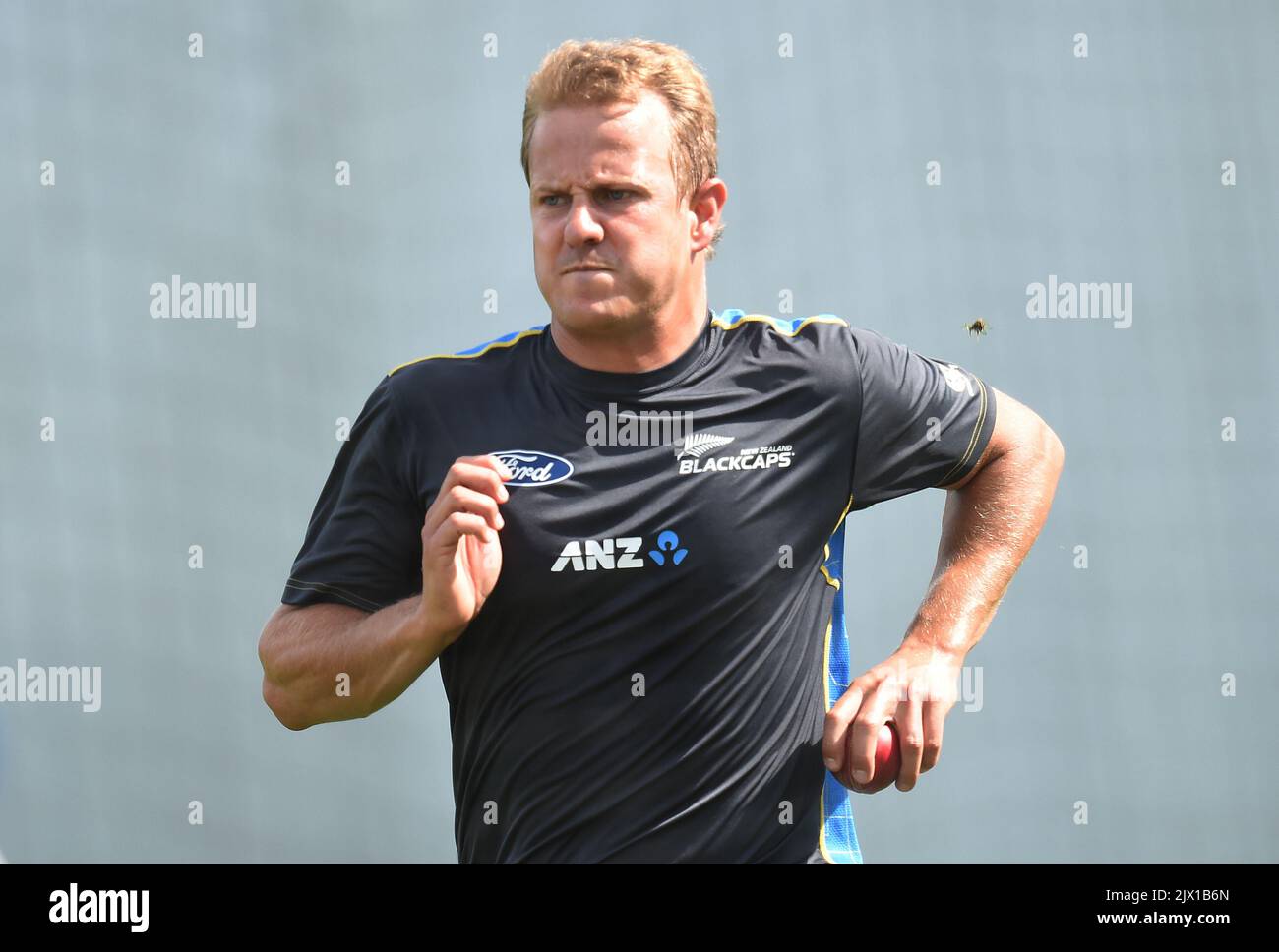 Neil Wagner prepares to bowl during the New Zealand cricket team ...