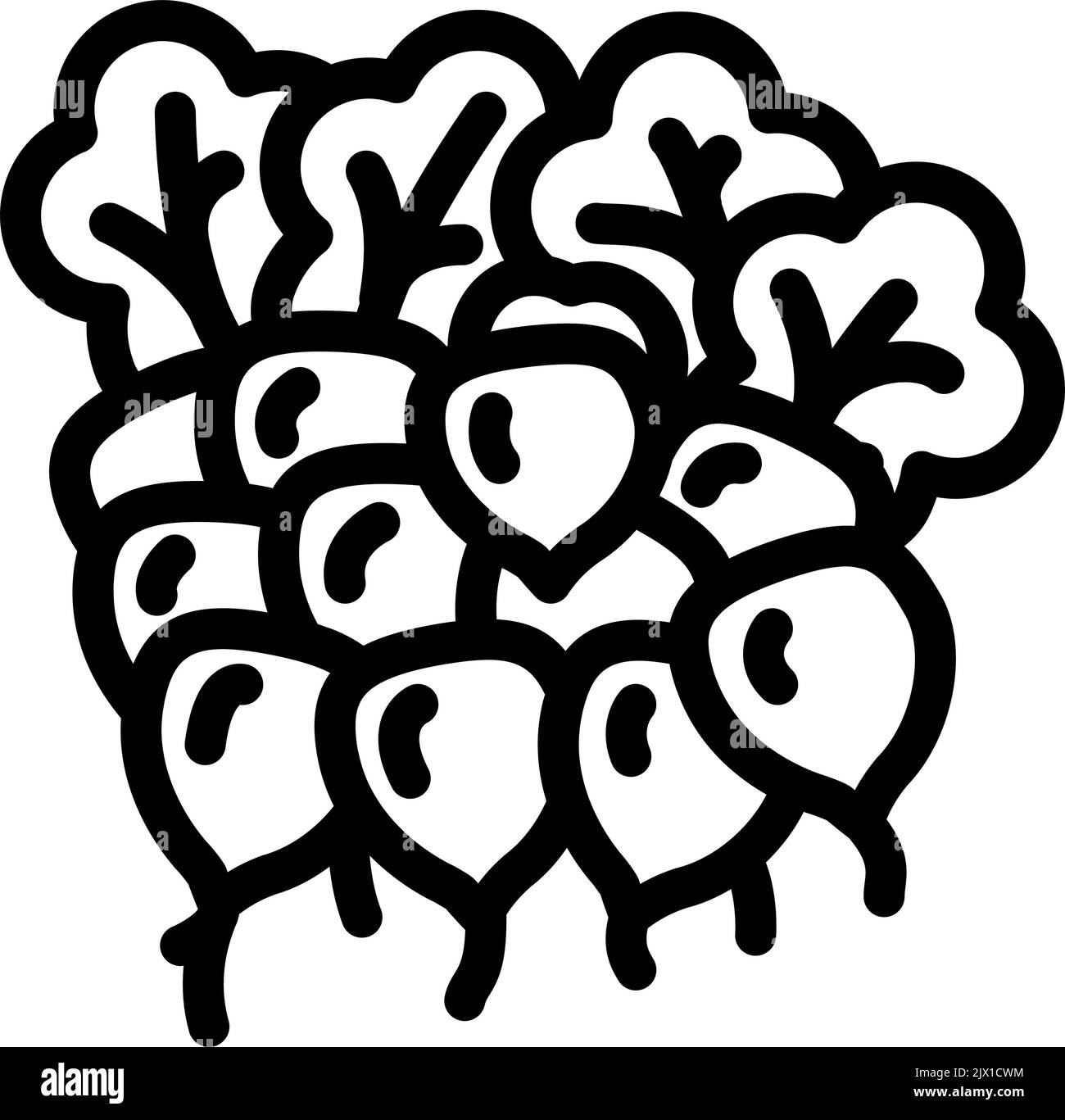 bunch radish line icon vector illustration Stock Vector Image & Art - Alamy