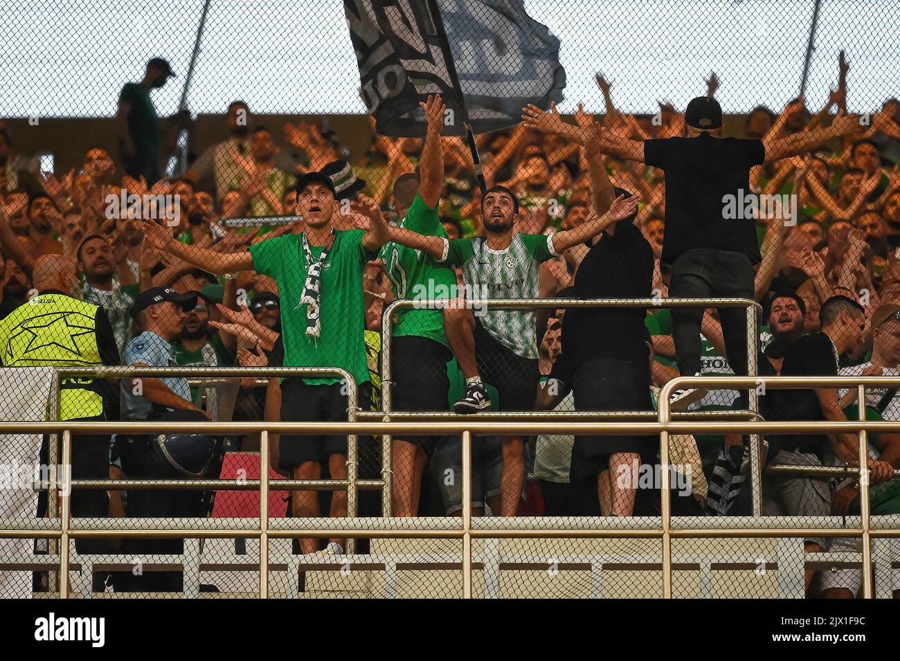 Maccabi Haifa supporters in action during UEFA Champions League Group H ...